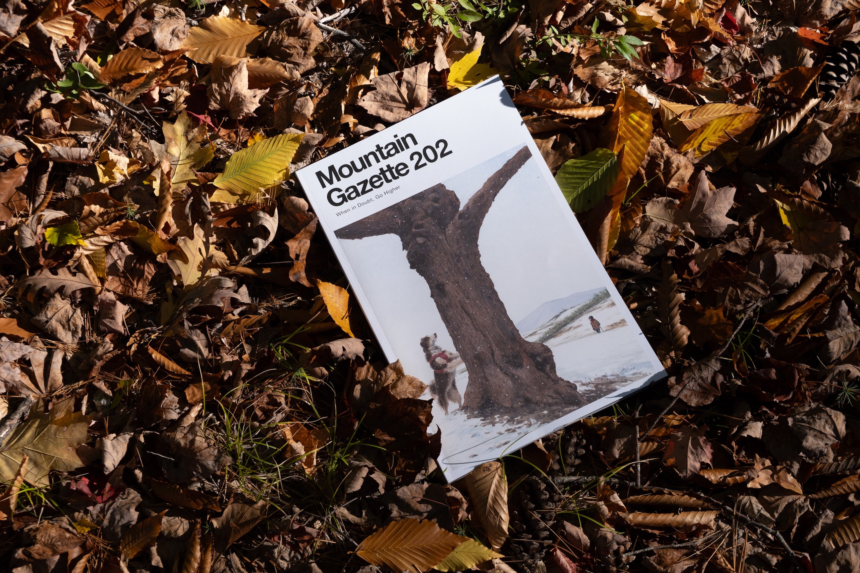 Mountain Notes – Mountain Gazette